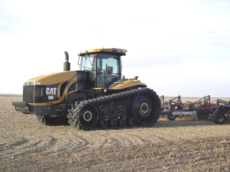 Caterpillar Pictures