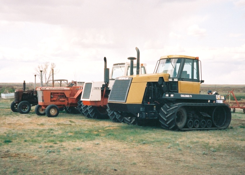 Caterpillar Pictures
