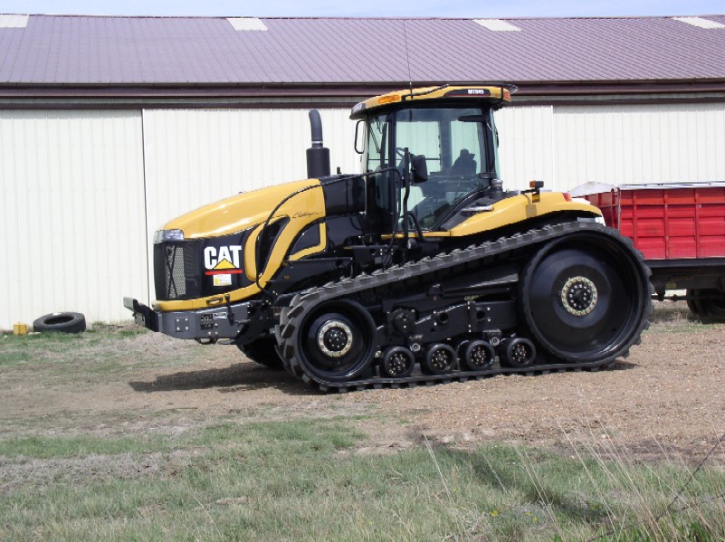 Caterpillar Pictures